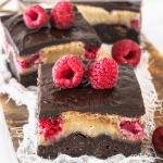 Raspberry Vegan Bars - Pies and Tacos