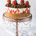 Mousse Cake - Pies and Tacos