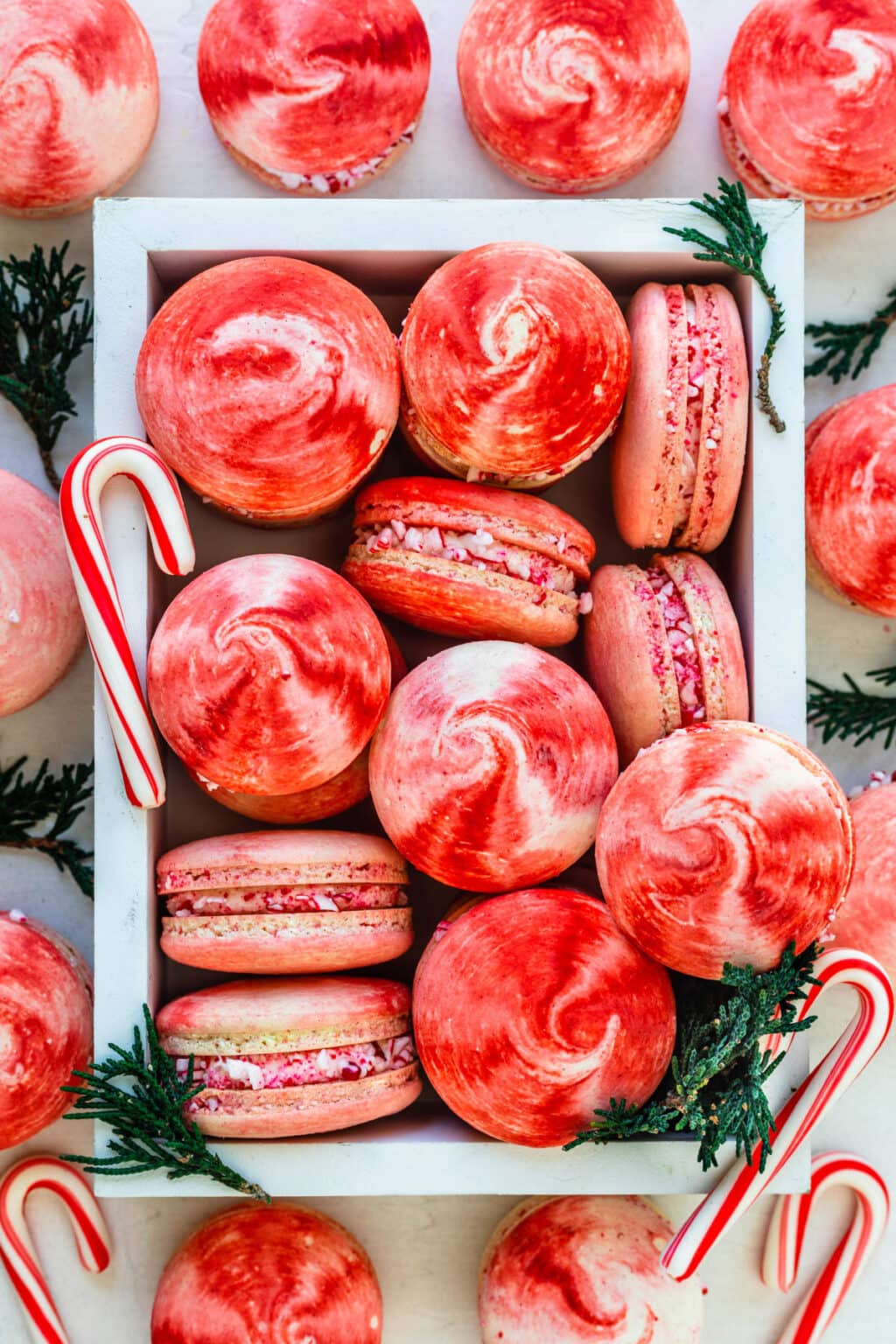Christmas Macaron Flavors - Pies and Tacos