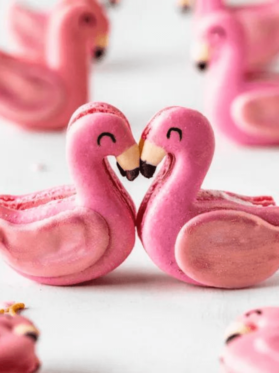 Flamingo Macarons Story - Pies and Tacos