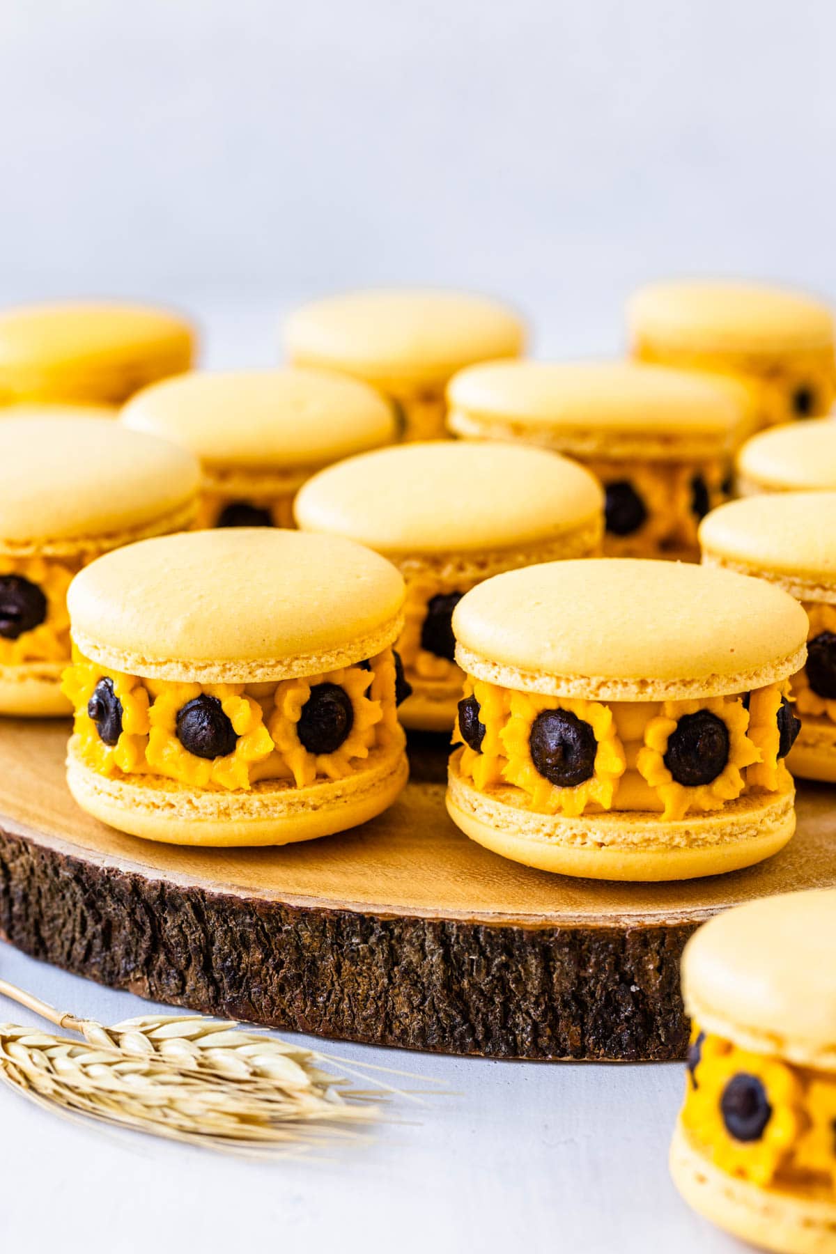 Sunflower Macarons - Pies and Tacos