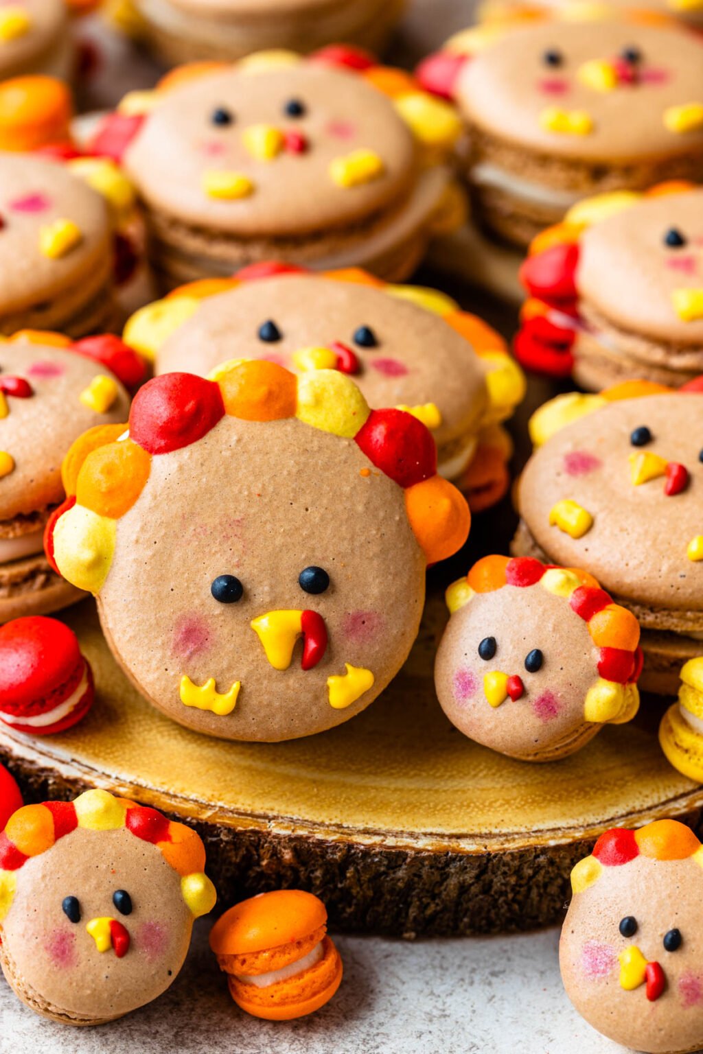 Turkey Macarons - Pies and Tacos