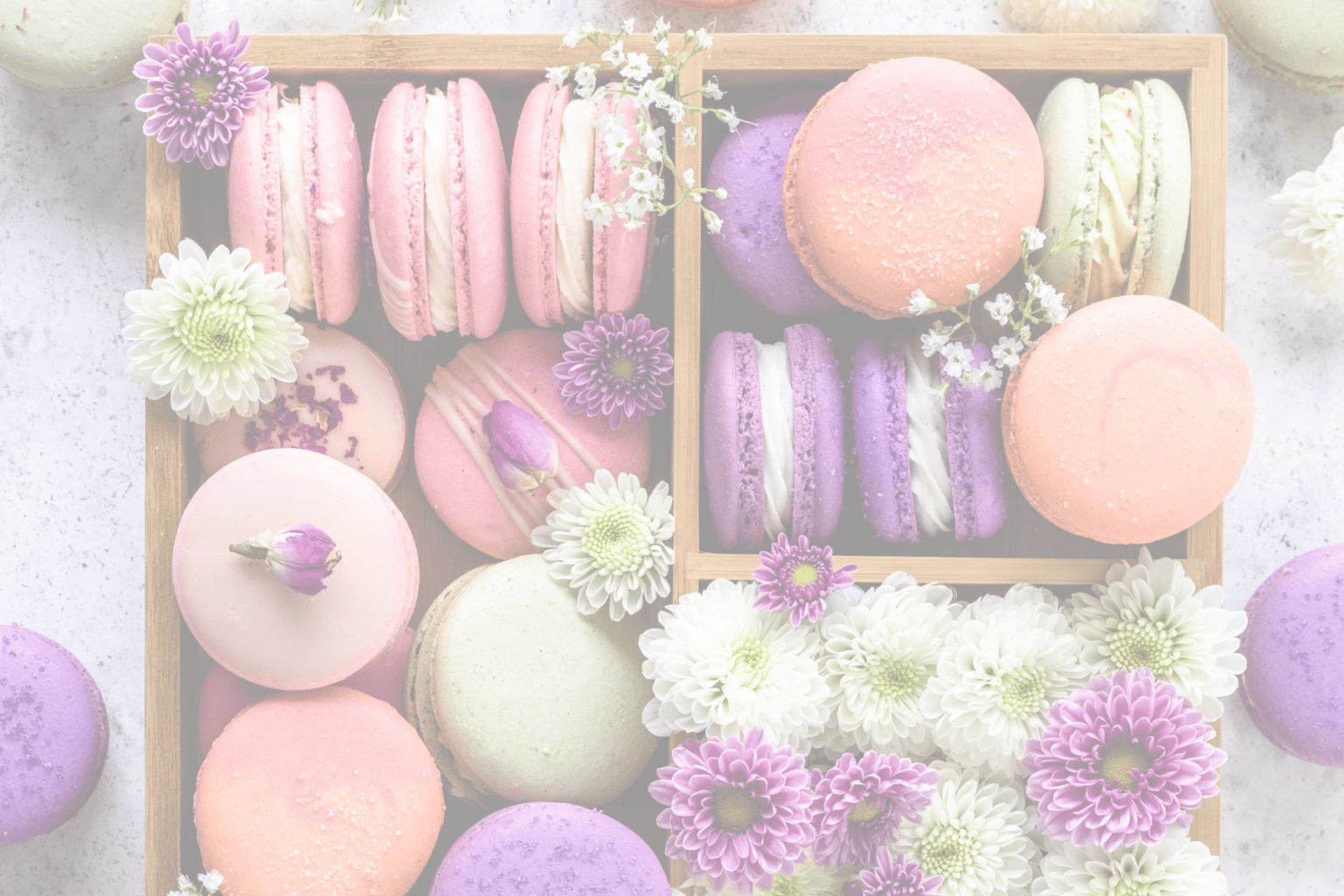 Macaron School Course - Pies and Tacos