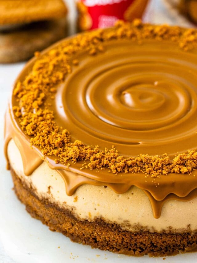 Biscoff Cheesecake Recipe Story - Pies and Tacos